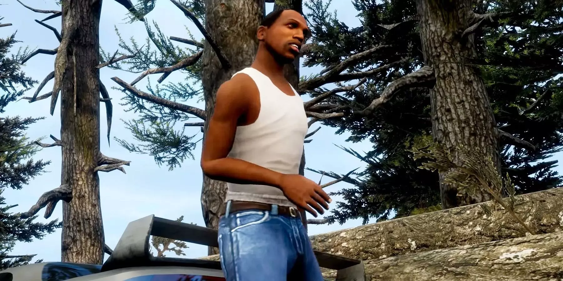 ภาพหน้าจอจาก Grand Theft Auto: San Andreas แสดง CJ ในป่า