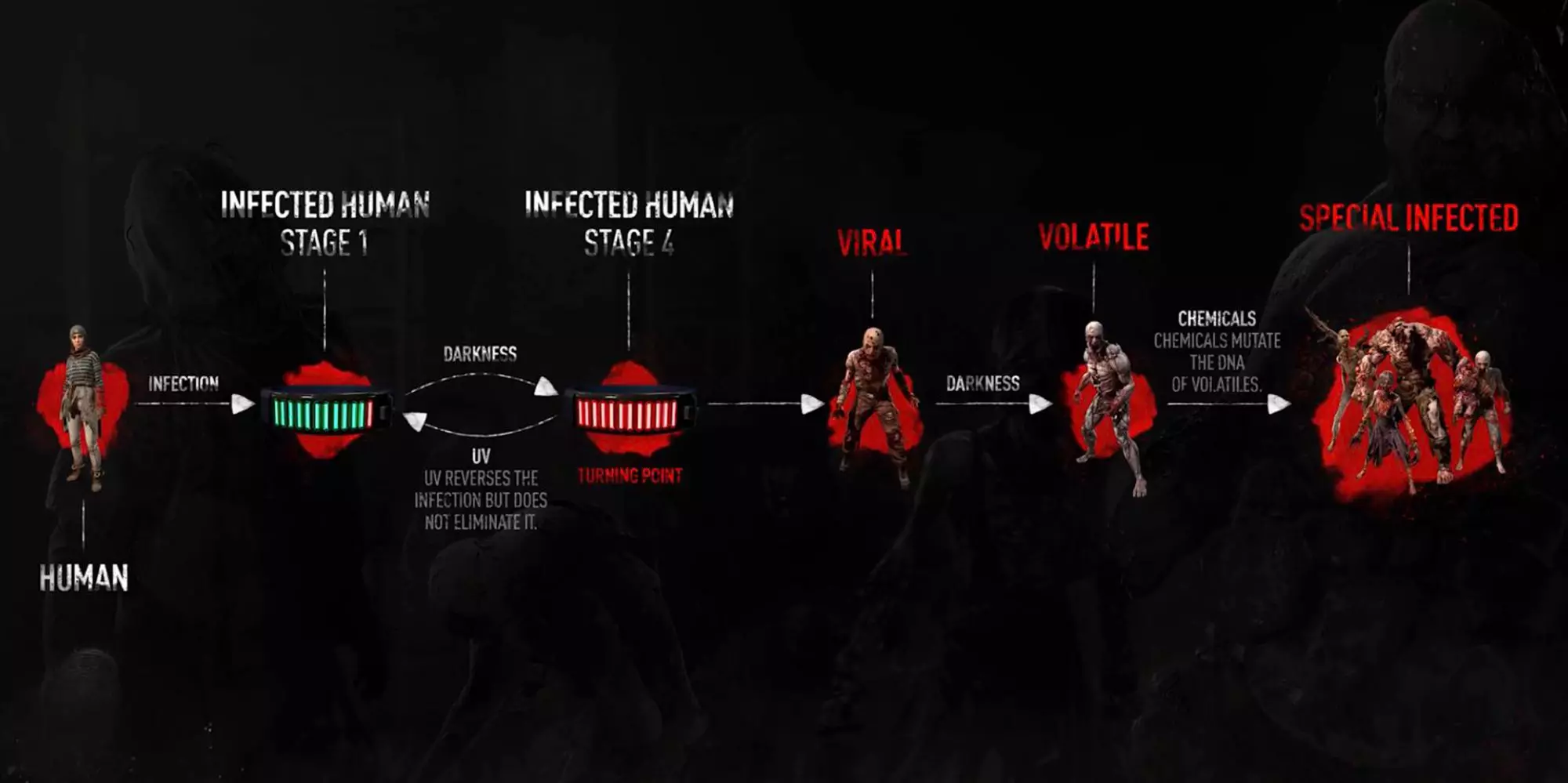 Dying Light 2 - Službena Infografika za razvojne programere koja prikazuje životni ciklus zaraženog DL2