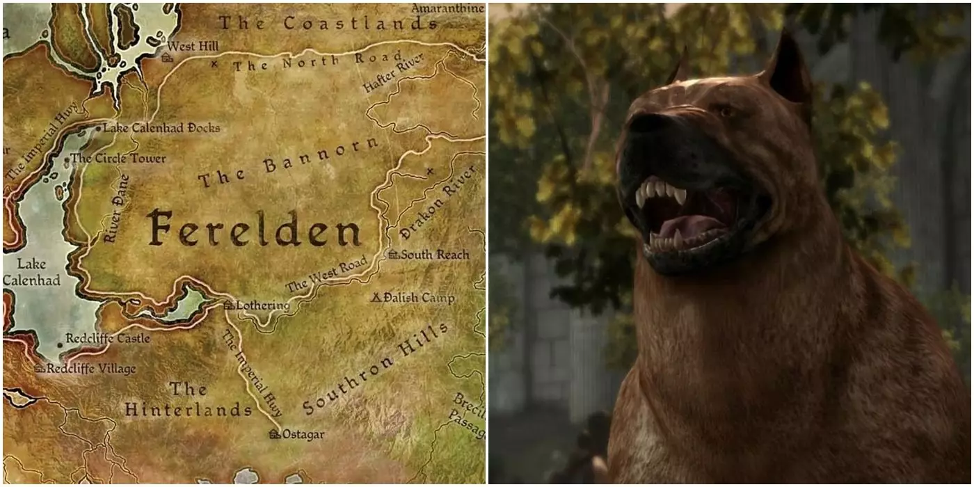 Usa ka mapa sa Ferelden ug ang Iro sa Dragon Age: Origins