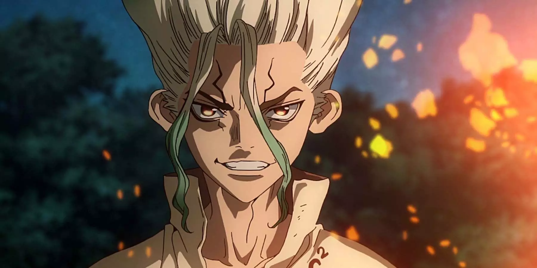 Anime Dr. Stone Senku