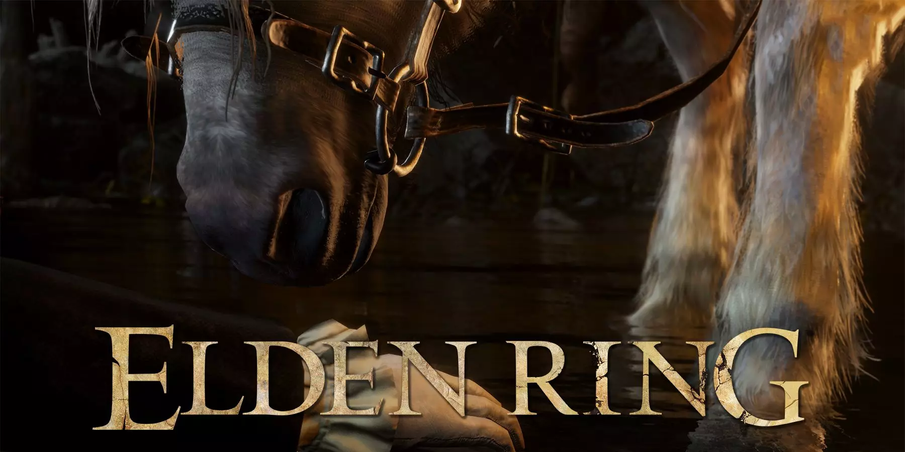 Recenze Elden Ring