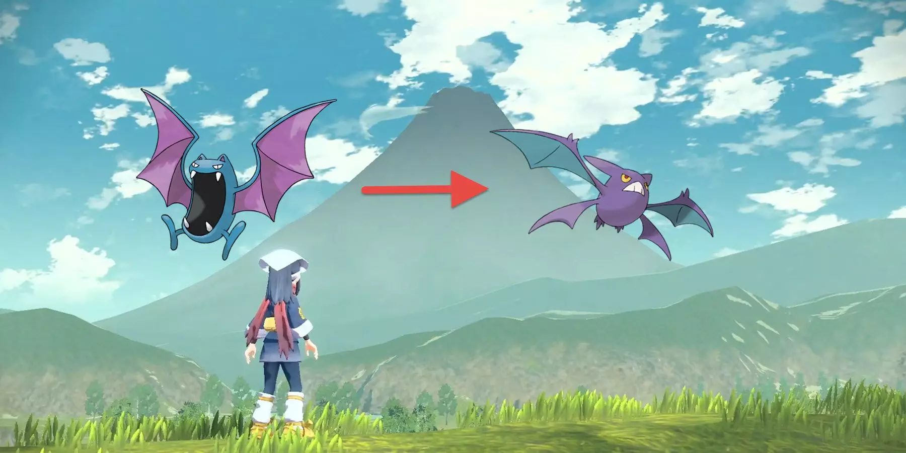 Pokemon Legends: Arceus - วิธีวิวัฒนาการ Golbat ให้เป็น Crobat