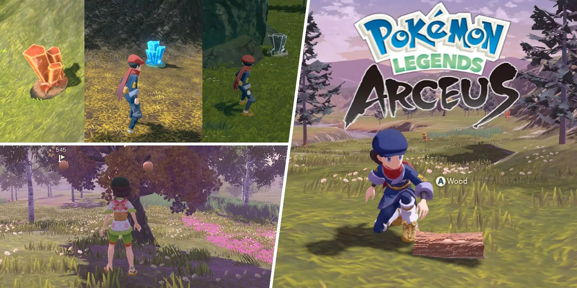 Pokemon Legends: Arceus: tots els ingredients d'elaboració (i on trobar-los)