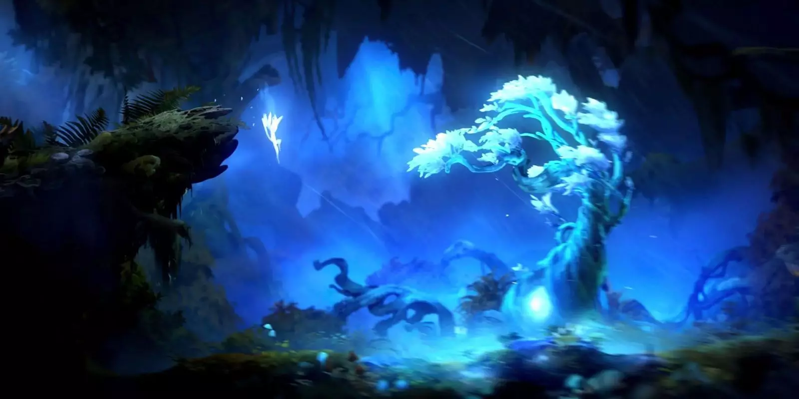 Ori Will Of The Wisps Jumping