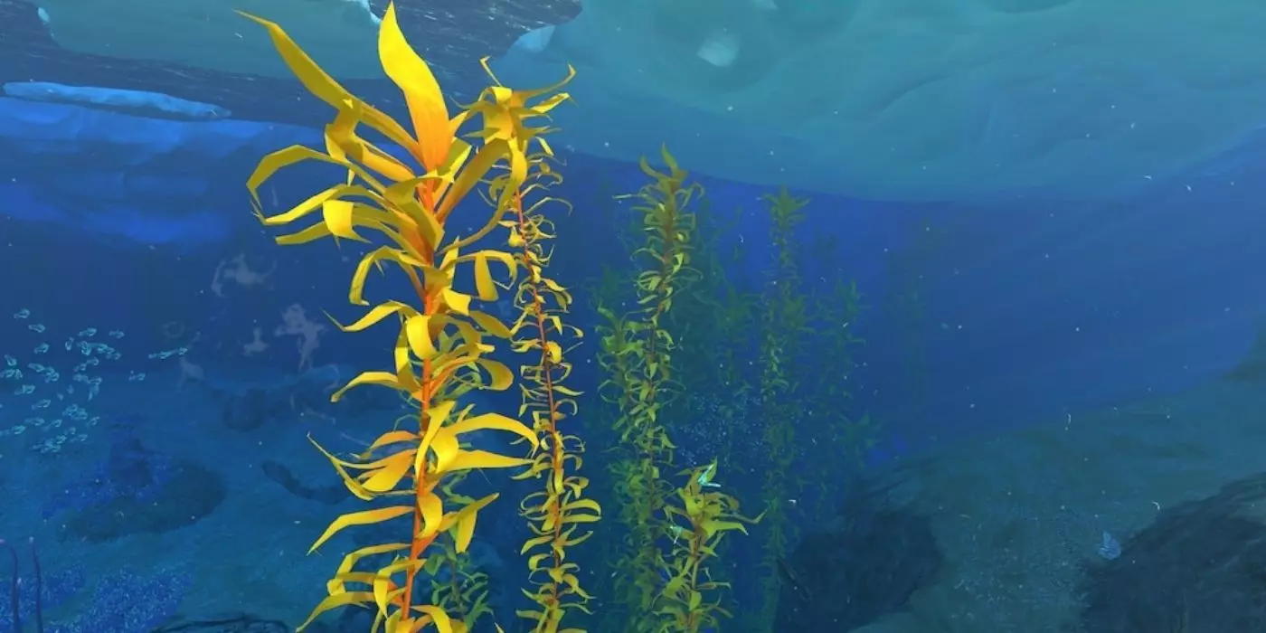 subnautica pansi pa zero creepvine zitsanzo