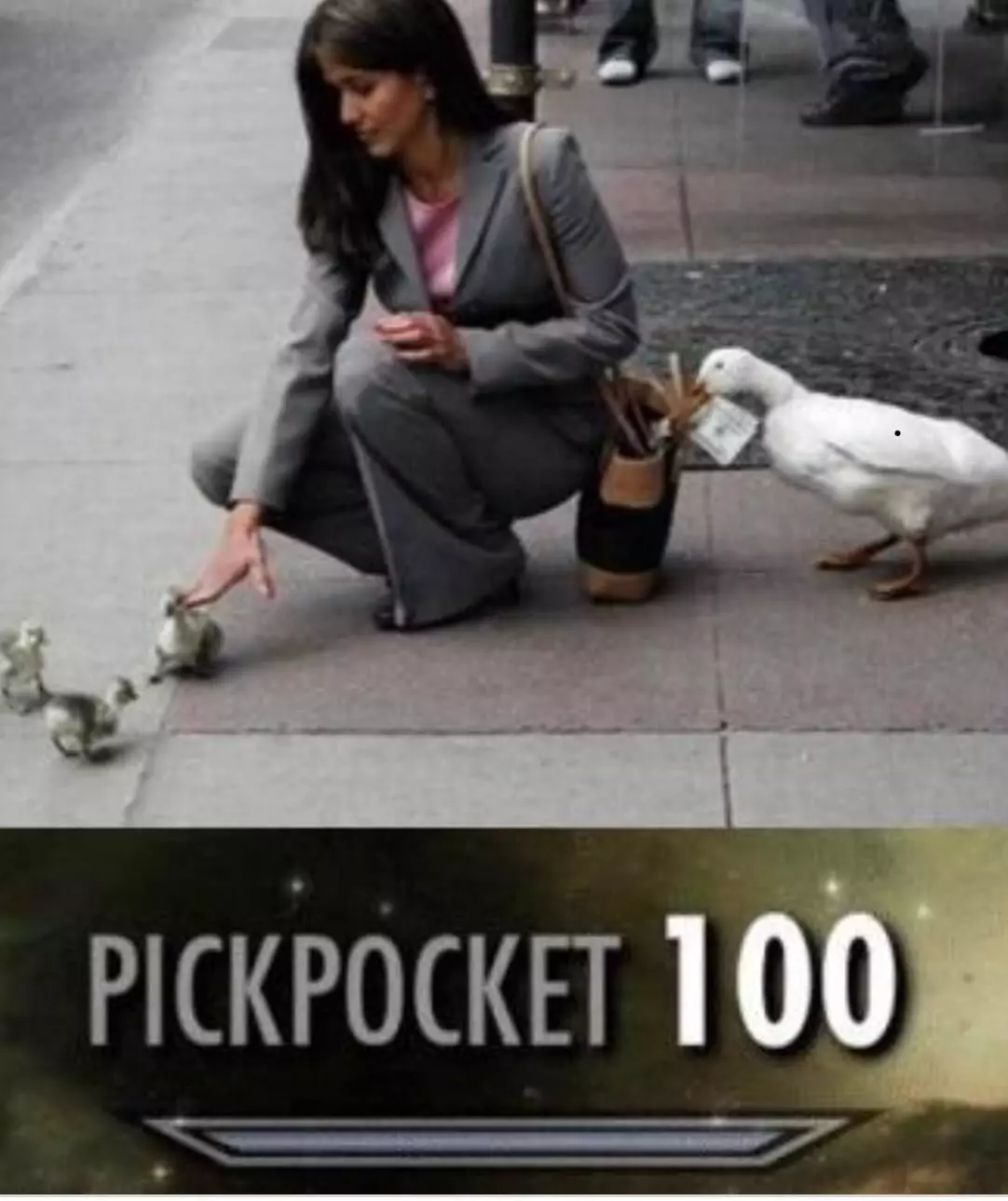 Meme pickpocket duck