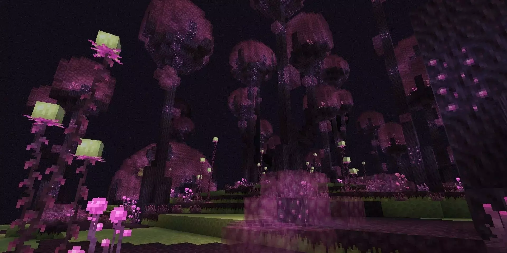 Minecraft Ender ጫካ