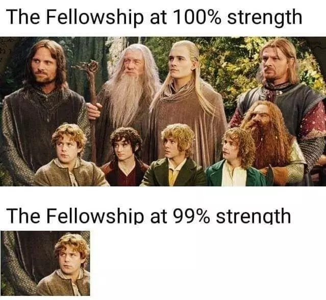 Lord of the Ring Meme merujuk kepada fakta bahawa ia adalah terima kasih kepada Sam, Frodo menyelesaikan pencariannya.