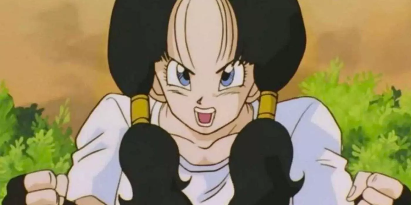 Videl in Gohan