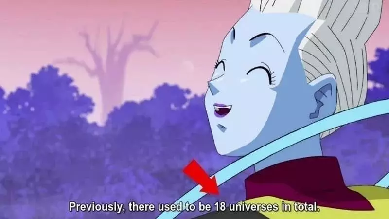 Dragon Ball Super 6 Erased Universes