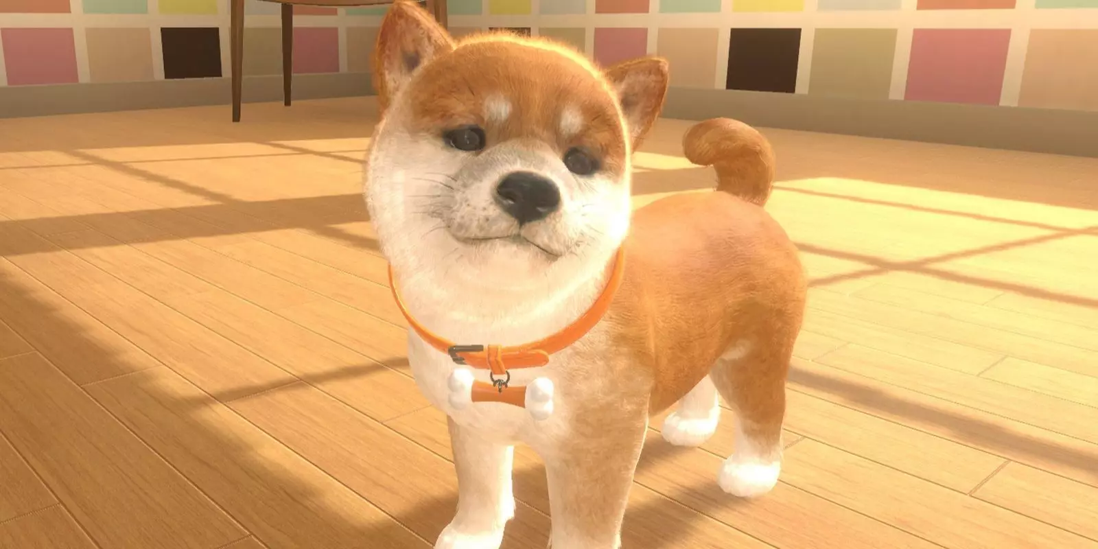 Akụkọ Shiba nwere ike ịbụ Nintendogs nke 2021 3091_2