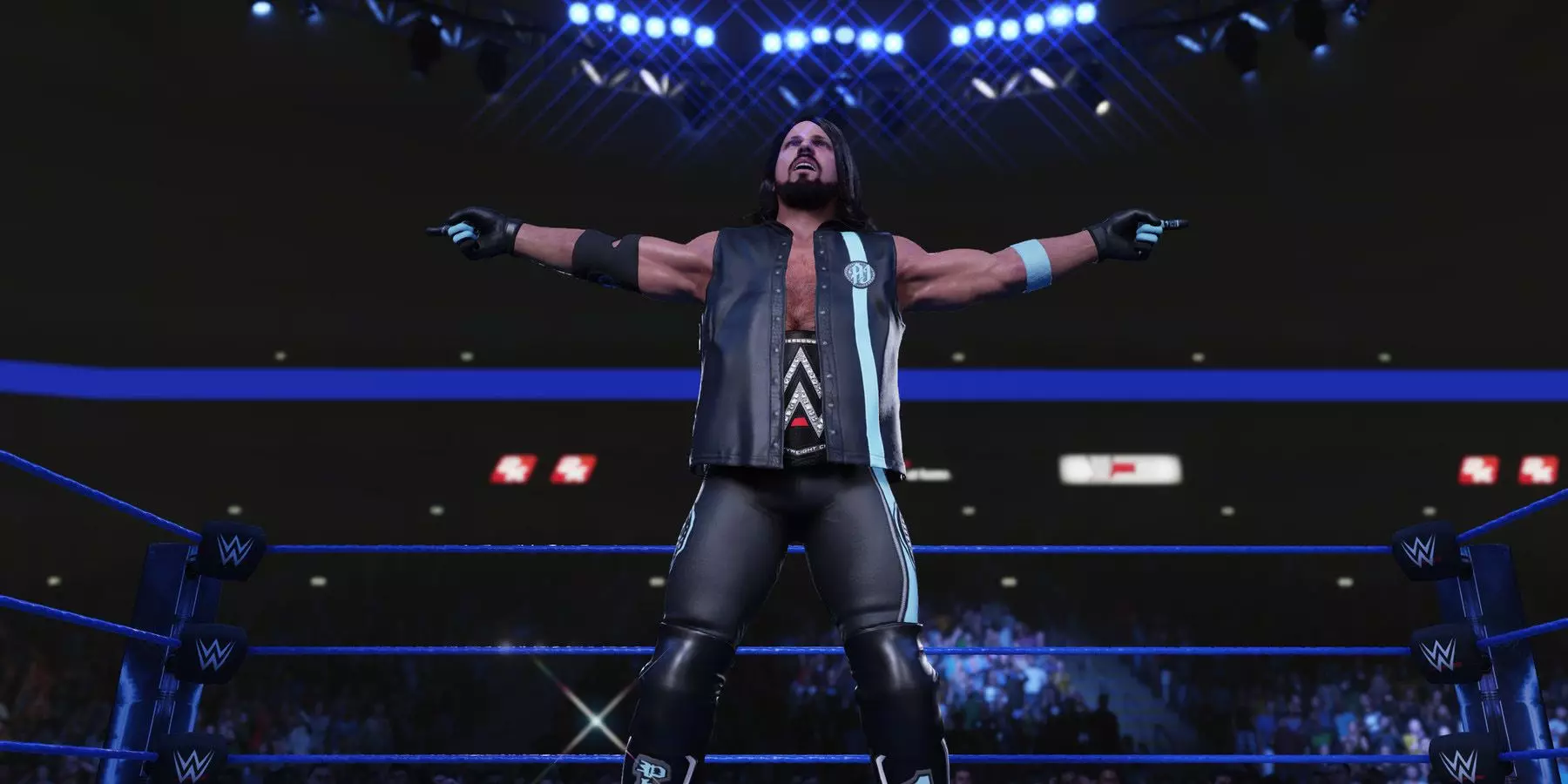 WWE 2k9 aj শৈলী