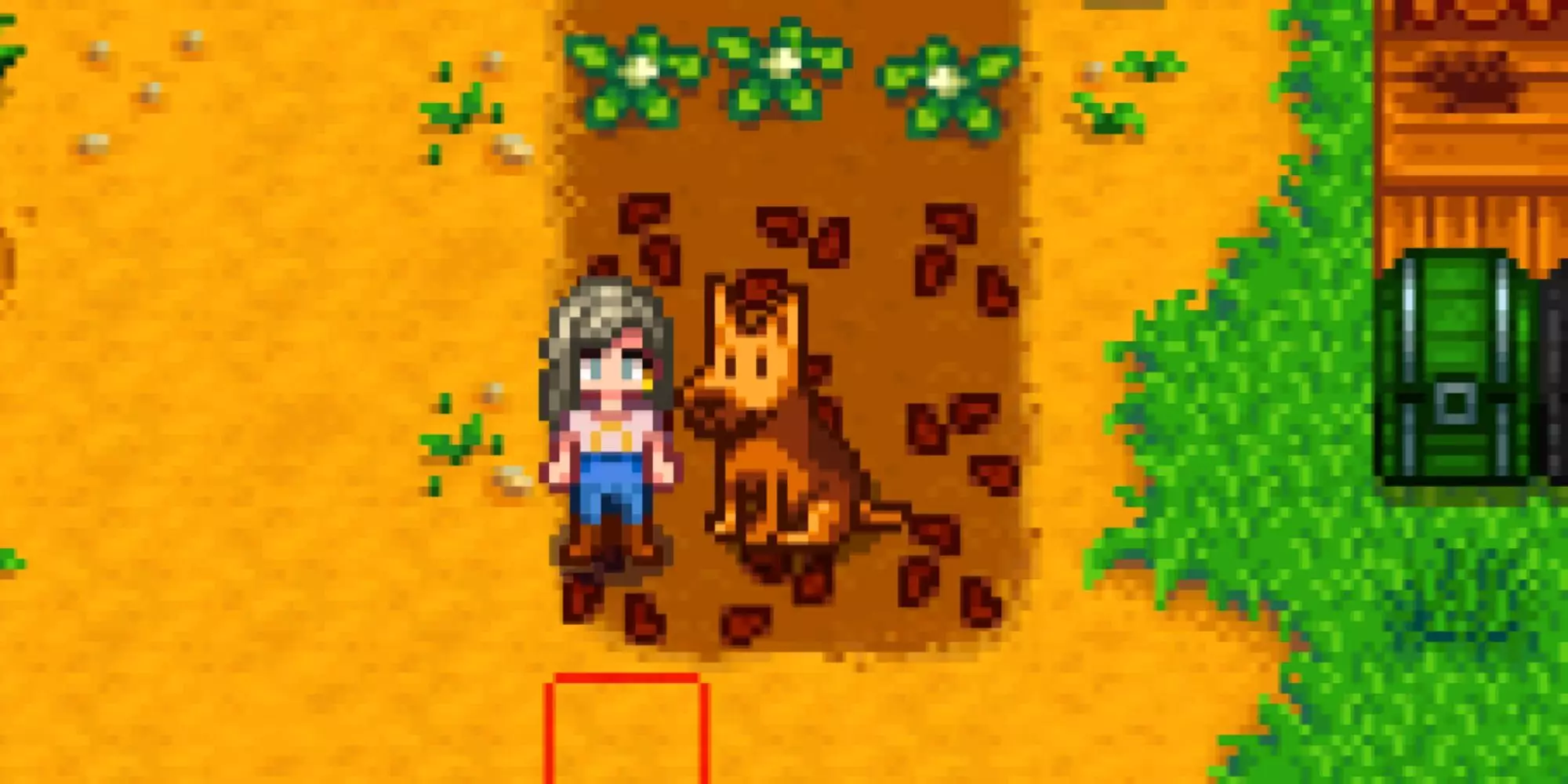 Cão de Stardew Valley ao lado do jogador