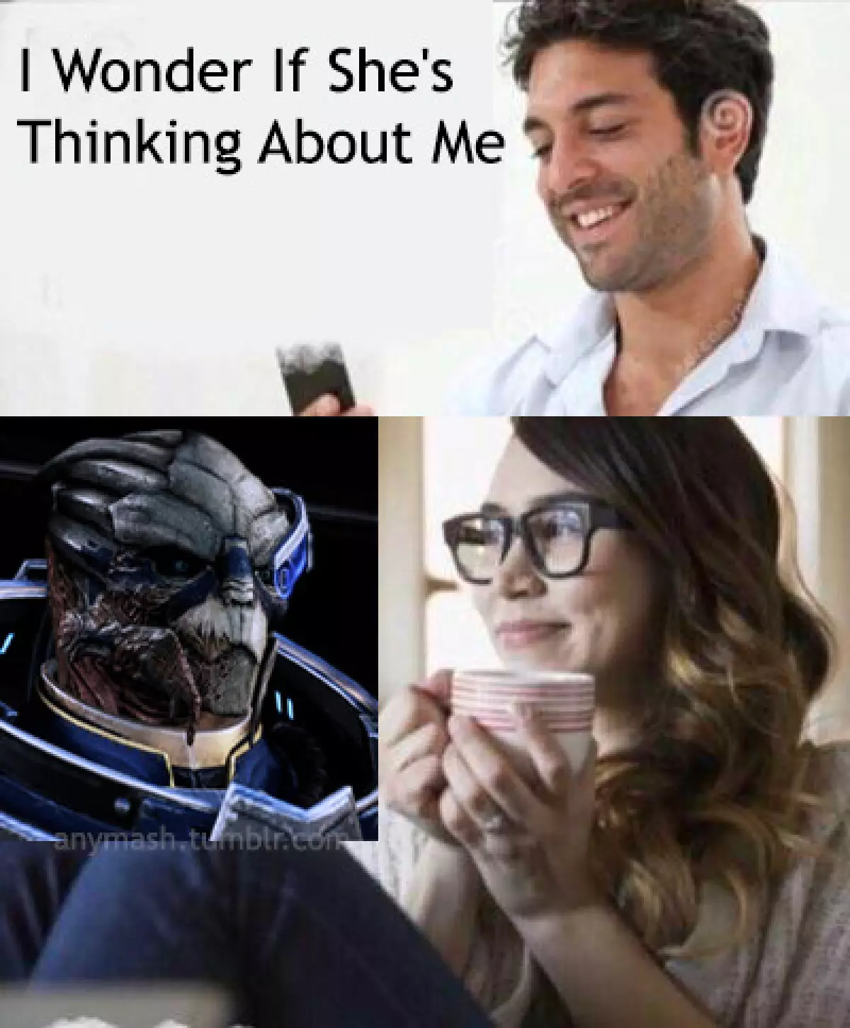 Mass Effect: 10 meme Garrus care nu au nevoie de calibrări 41578_8