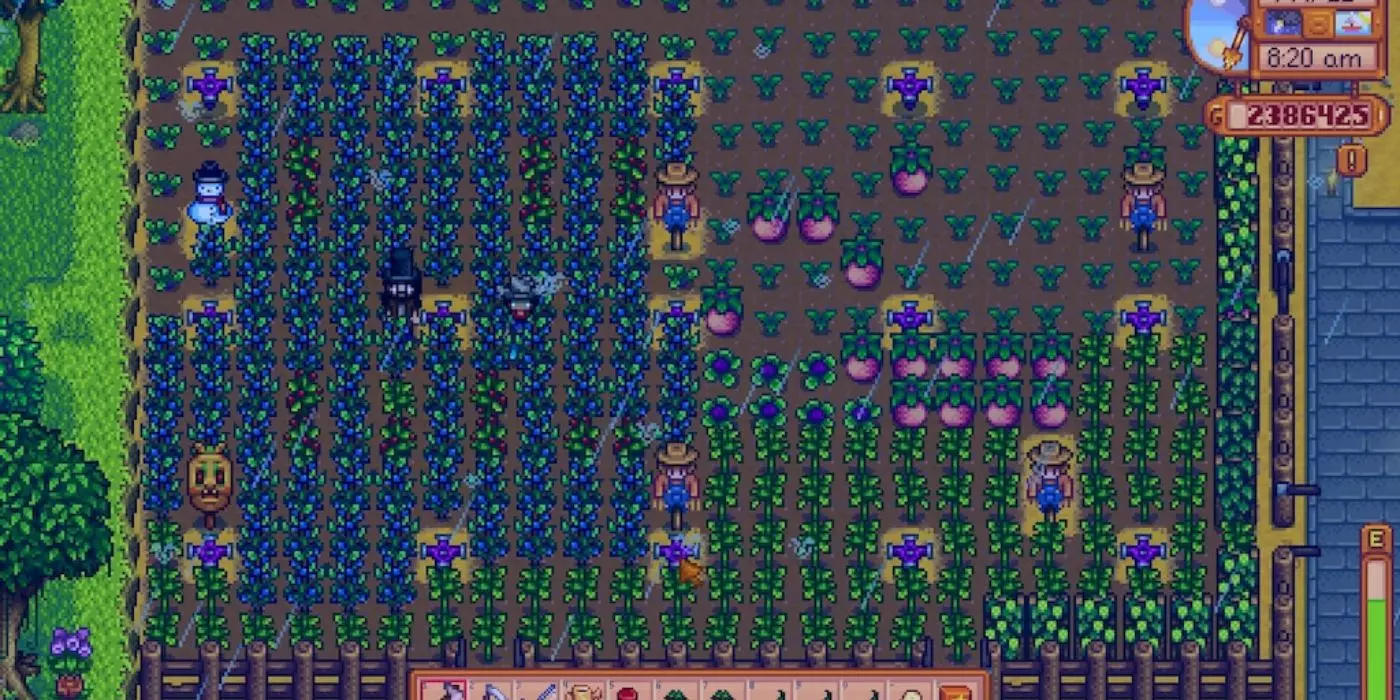 sprinklers સાથે stardew મોટા બ્લુબેરી ફાર્મ