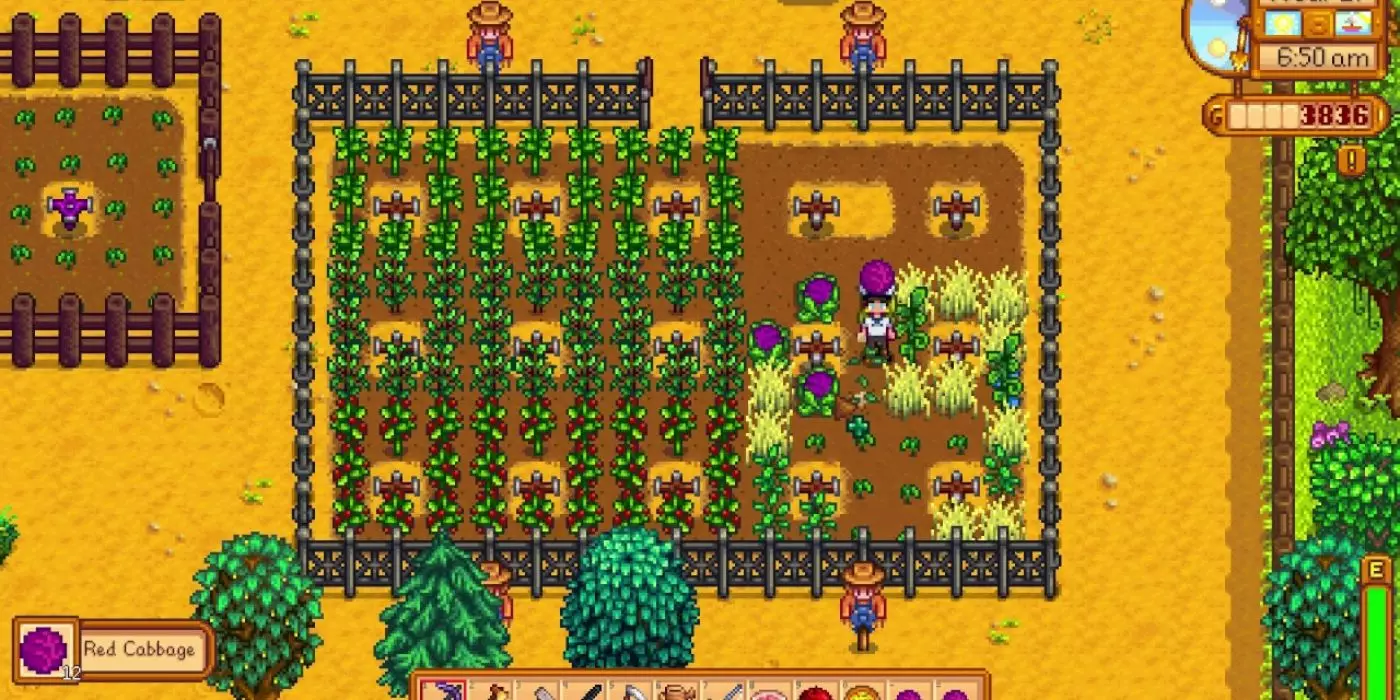 çiftliğin geri kalanından çitle çevrilmiş buğday ile stardew kırmızı lahana çiftliği