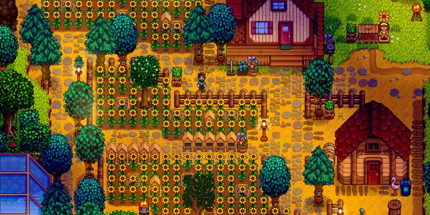 kmetija sončnic v dolini stardew z dvema hišama ponoči