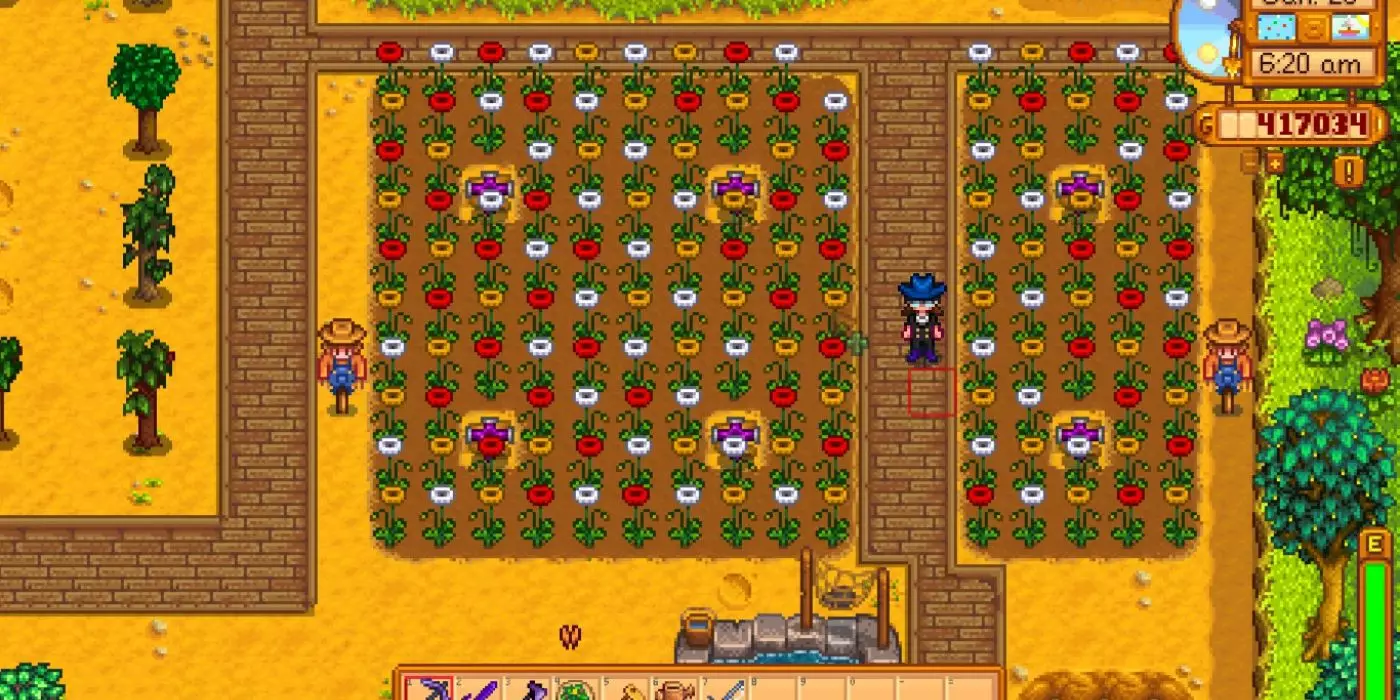 Stardew Poppy Farm met paden tussen de gewassen en bomen