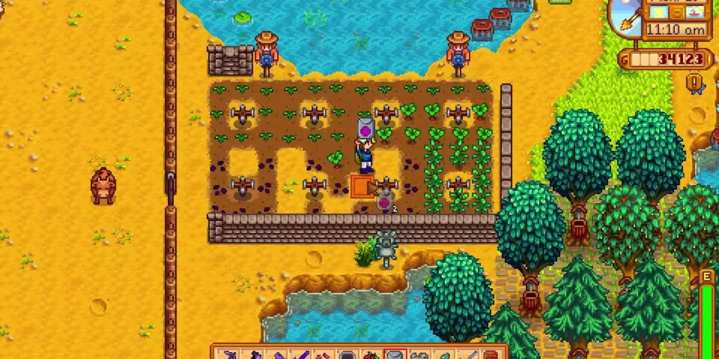 iki gölet arasında ve bir ormanın üzerinde stardew turp çiftliği