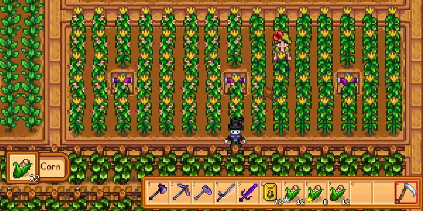 stardew vadisi dev mısır çiftliği