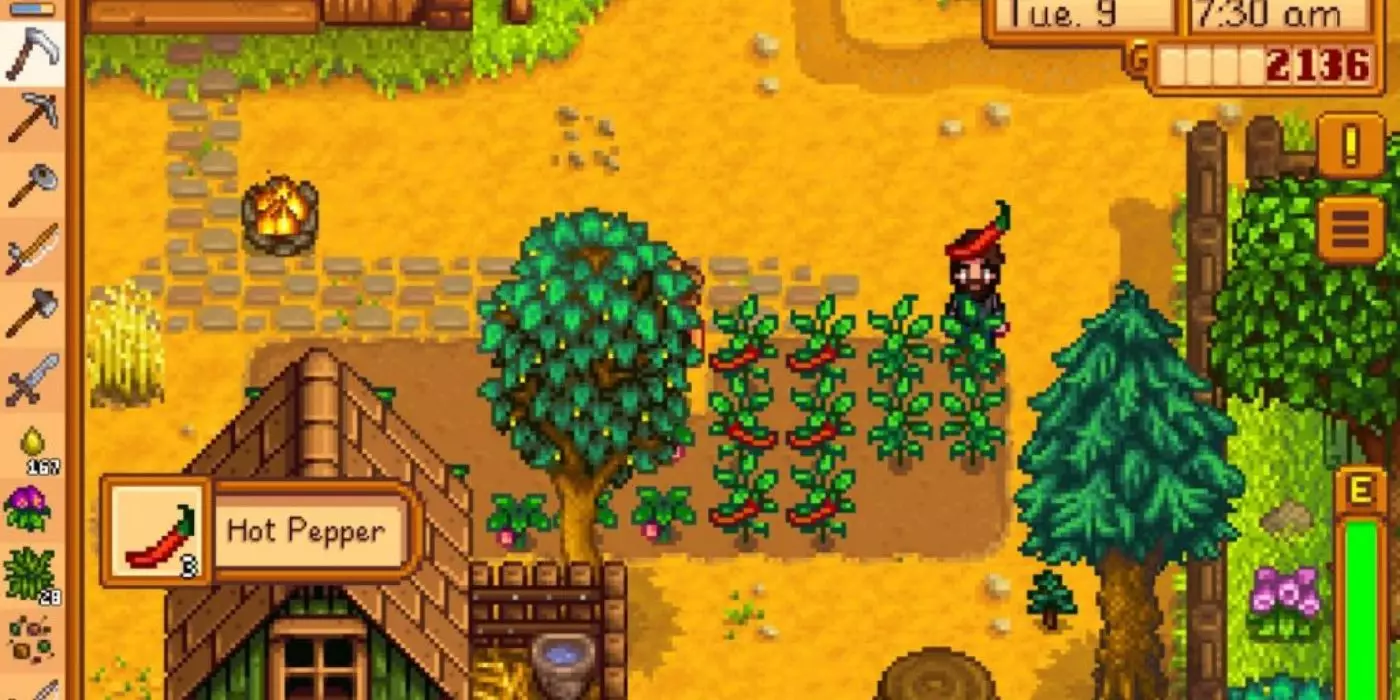 stardew pequena granxa de pementa picante sobre un galiñeiro entre árbores e terras baleiras