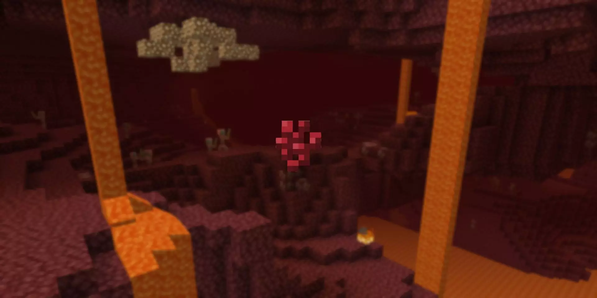 Nether Wart ໃນ Minecraft