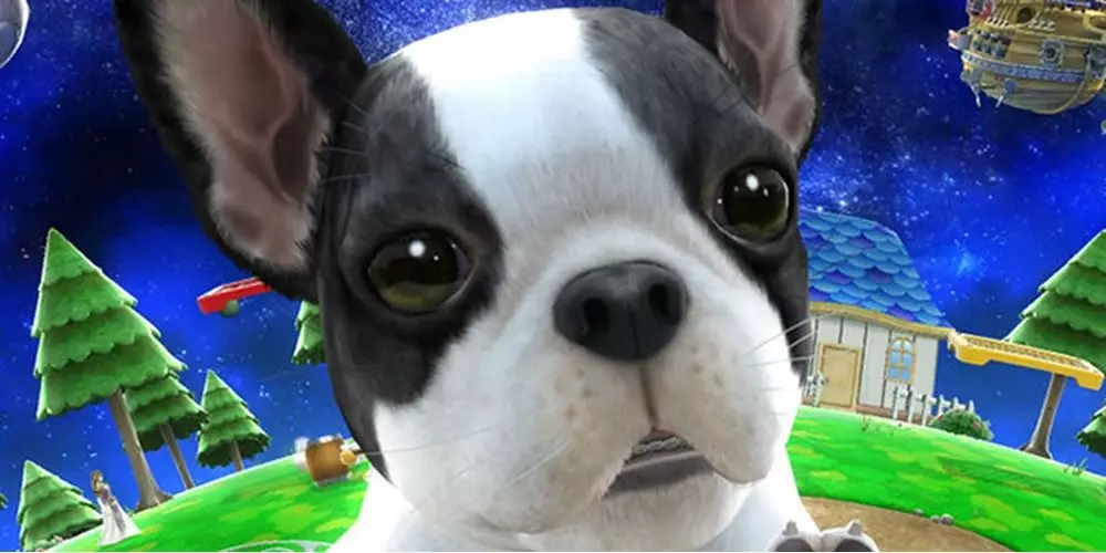 Super Smash Brothers Nintendog Rocco na obrazovke