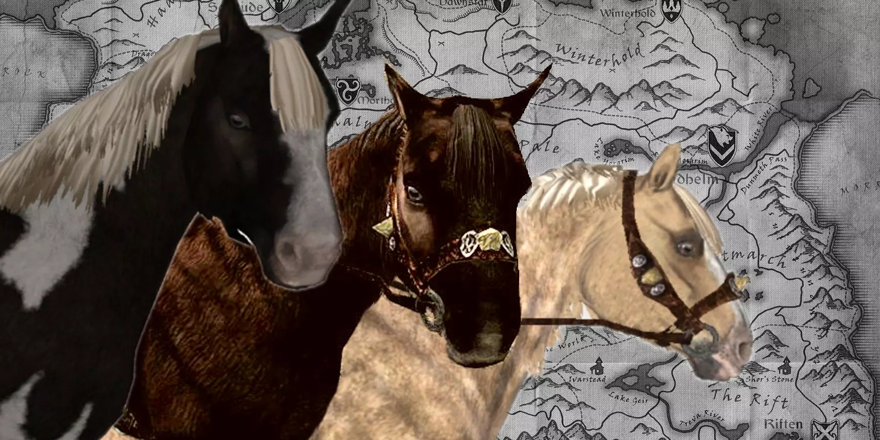 Skyrim Anniversary Horse Kokapen Gida