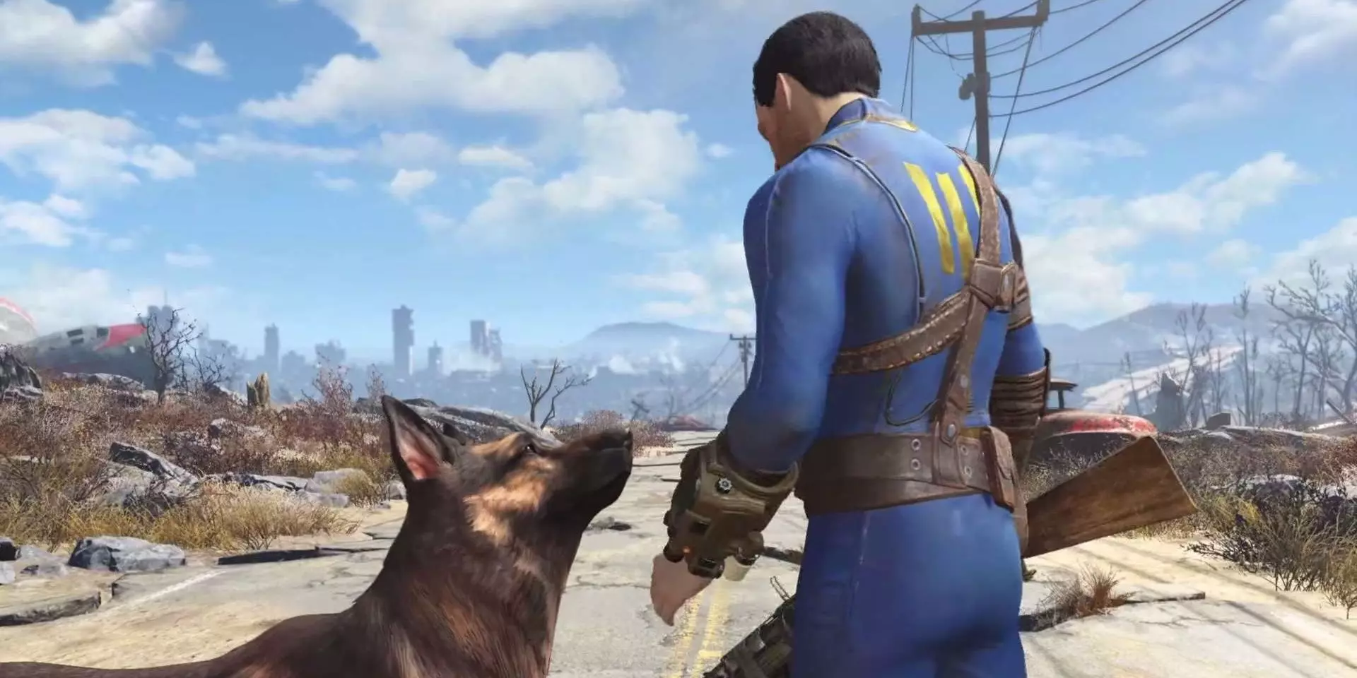 The Sole Survivor & Dogmeat