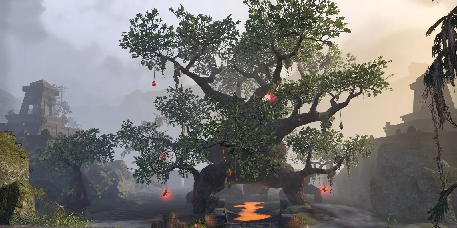 The Elder Scrolls အွန်လိုင်းမှ Hist Tree