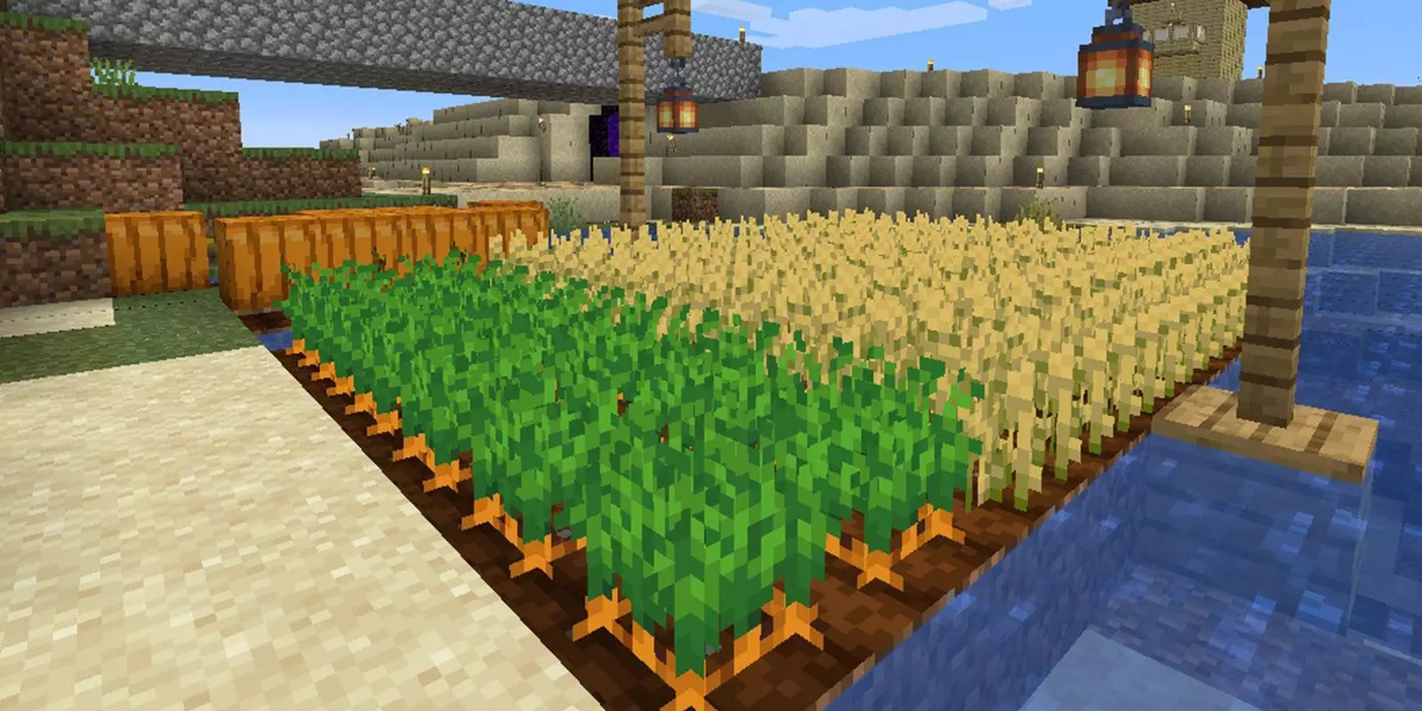 Minecraft Crops