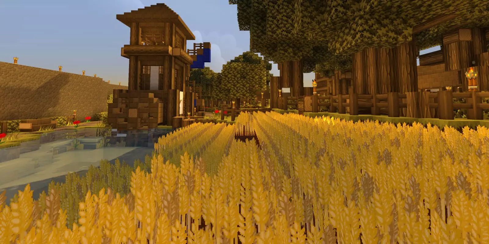 Sou entènèt jwèt Minecraft Wheat Farm