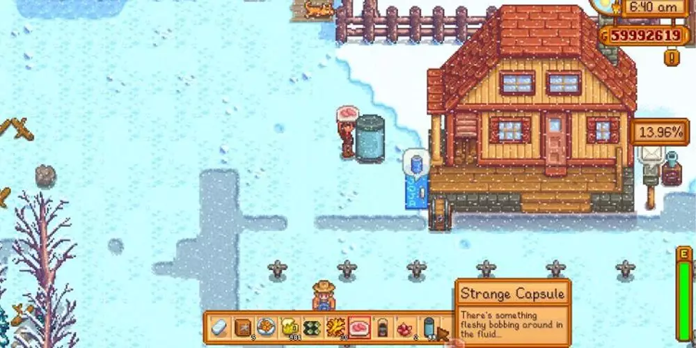 Stardew Valley: Wat ass déi komesch Kapsel fir? 73661_4