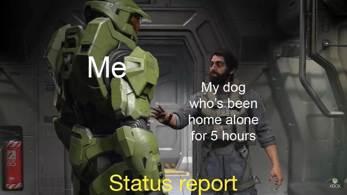 Halo-Infinite-Status-Rapport-Hûn