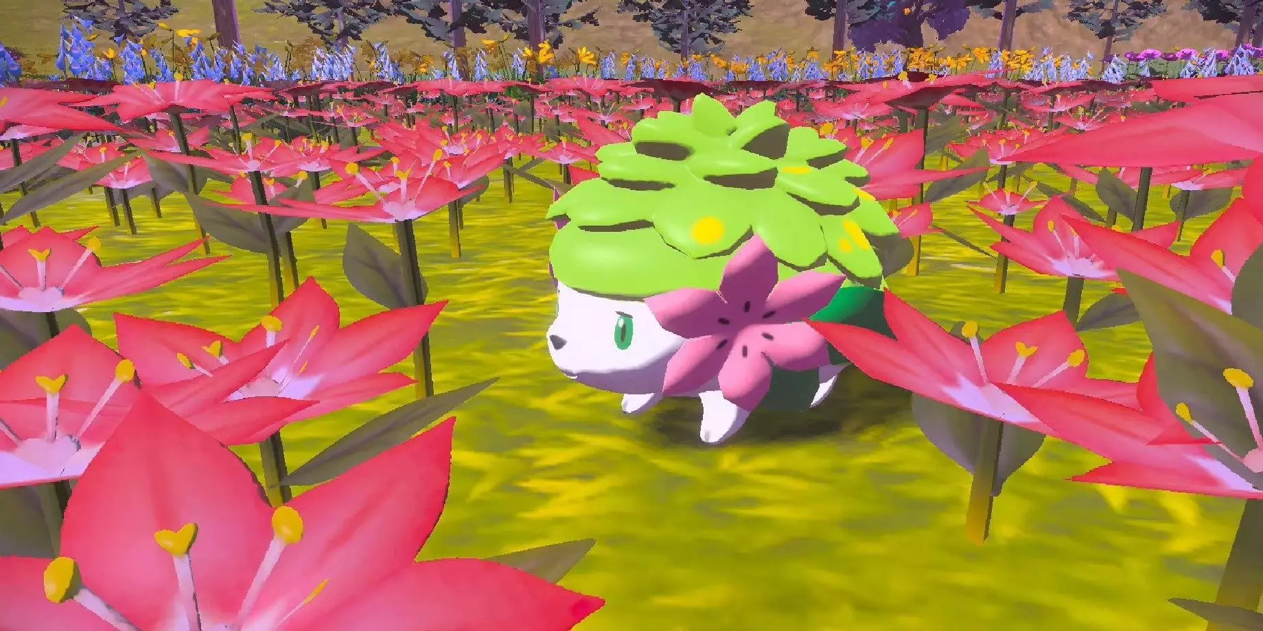 Pokemon Legends Shaymin in Floaroma Meadow Cropped