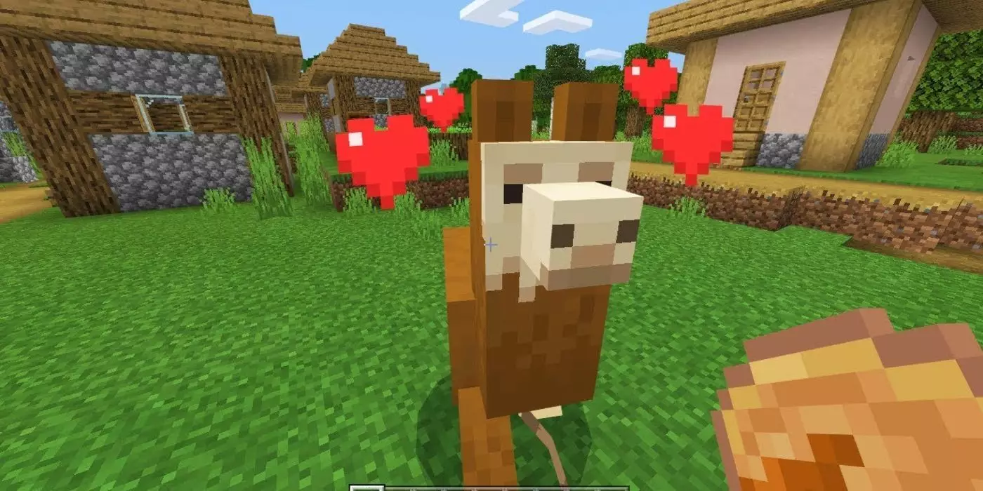 Minecraft: i migliori animali da domare (e come domarli) 9707_10