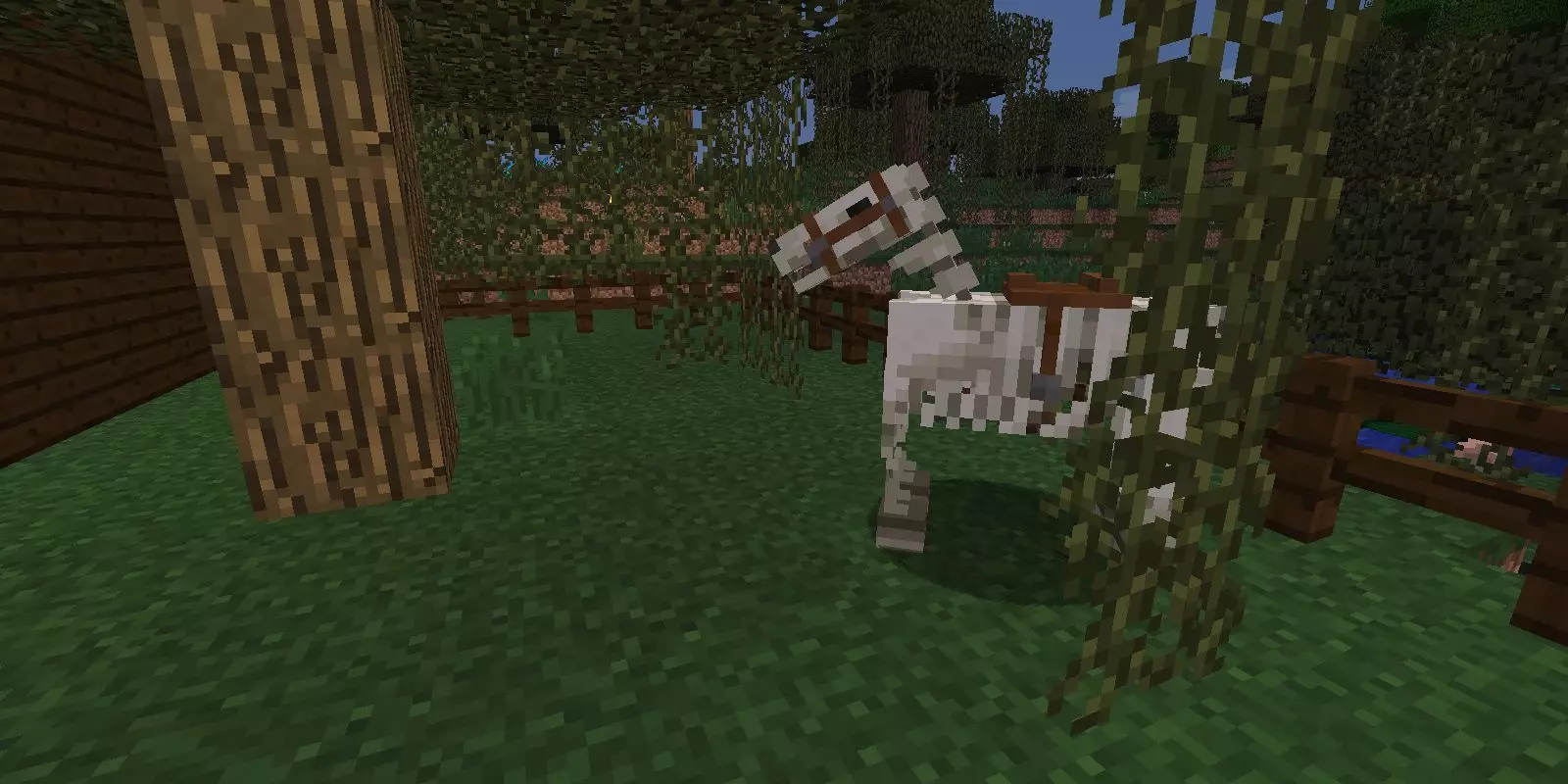 Minecraft: i migliori animali da domare (e come domarli) 9707_5