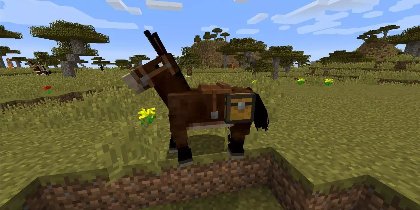 Minecraft: i migliori animali da domare (e come domarli) 9707_8