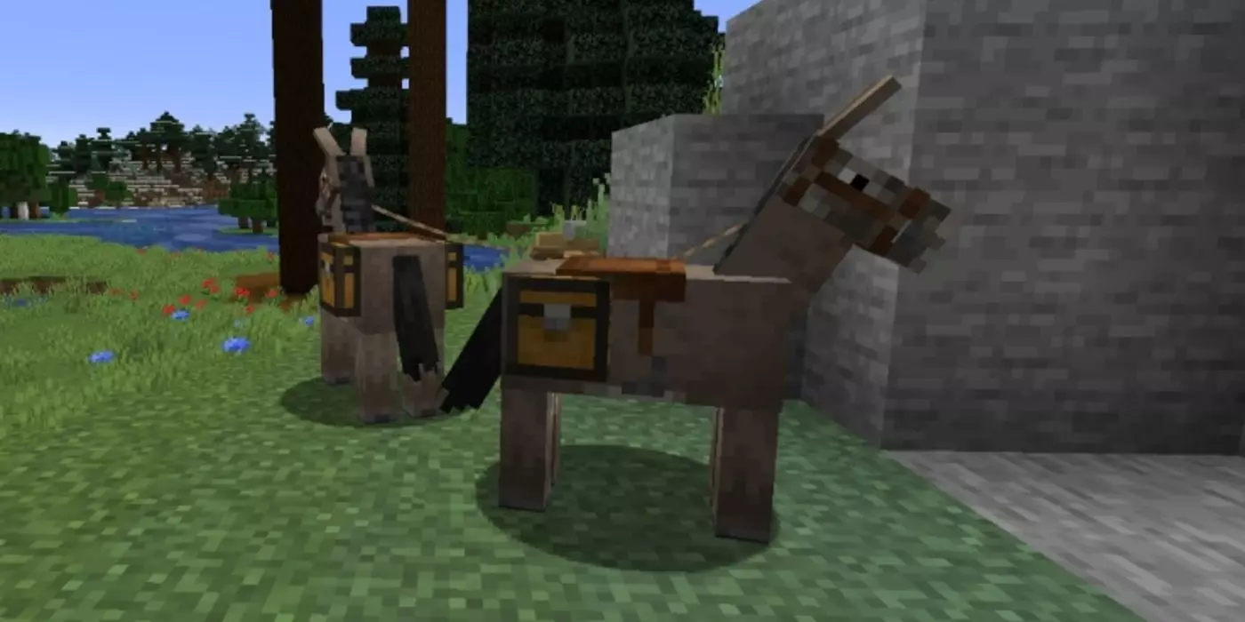 Minecraft: i migliori animali da domare (e come domarli) 9707_9